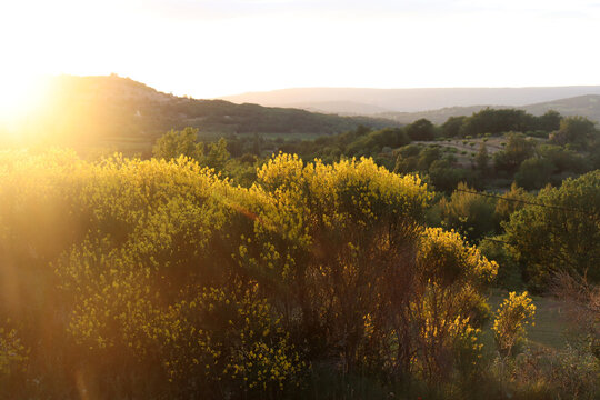 Apt-Bilder: Stock-Fotos & -Videos. | Adobe Stock