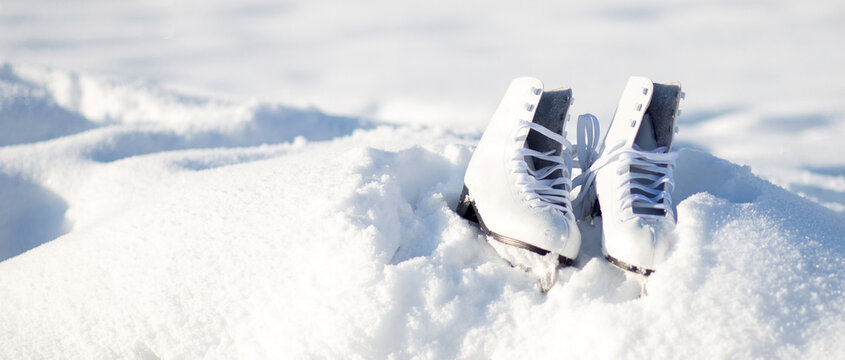 Lustrous Images – Browse 8,441,984 Stock Photos, Vectors, and Video ...