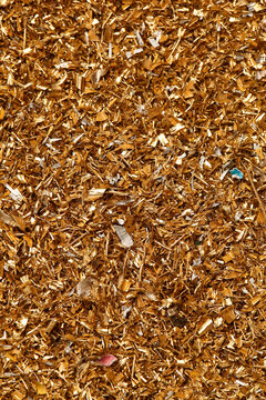 รูปภาพFlorete – เลือกดูภาพถ่ายสต็อก เวกเตอร์ และวิดีโอ183 | Adobe Stock