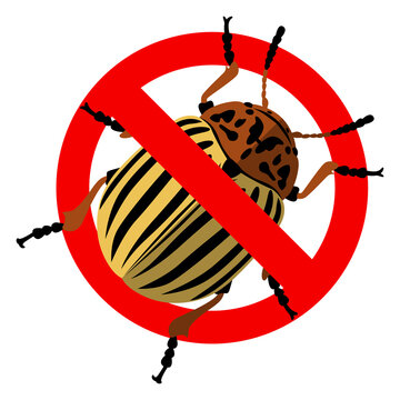 "Potato Bug" Images – Browse 12,011 Stock Photos, Vectors, and Video ...