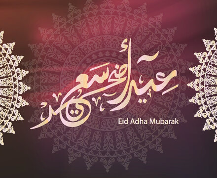 Kurba Images – Parcourir 1,268 le catalogue de photos, vecteurs et ...