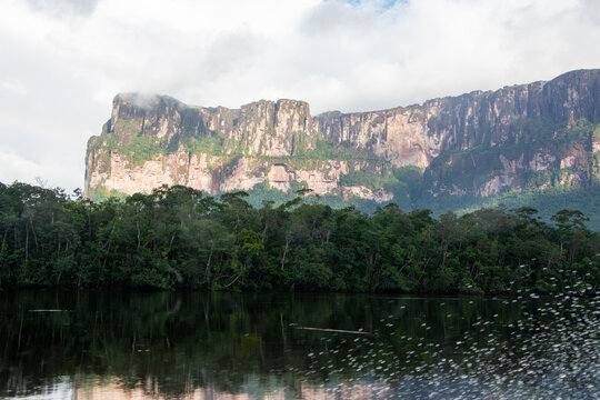 Auyantepui Bilder – Durchsuchen 539 Archivfotos, Vektorgrafiken und ...