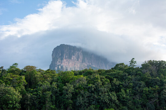 Auyantepui Bilder – Durchsuchen 447 Archivfotos, Vektorgrafiken und ...