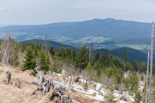 Lam Bilder – Durchsuchen 32,311 Archivfotos, Vektorgrafiken und Videos ...