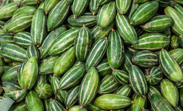 Parwal 이미지 – 찾아보기 711 스톡 사진, 벡터 및 비디오 | Adobe Stock