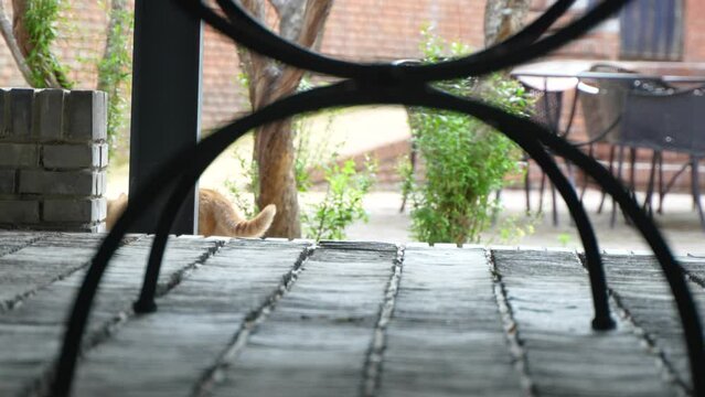 "Under The Table" Images – Browse 4,782 Stock Photos, Vectors, and ...