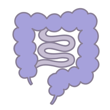 "Sigmoid Flexure" Images – Browse 433 Stock Photos, Vectors, and Video ...