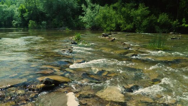 "Shallow River" Images – Browse 708 Stock Photos, Vectors, and Video ...