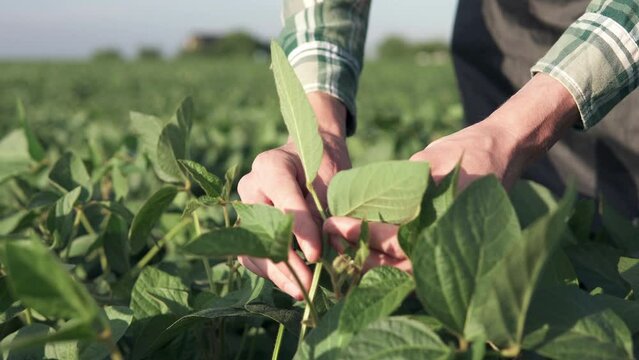 Agronomy Video Footage – Browse 100,896 HD Stock Video and Footage ...