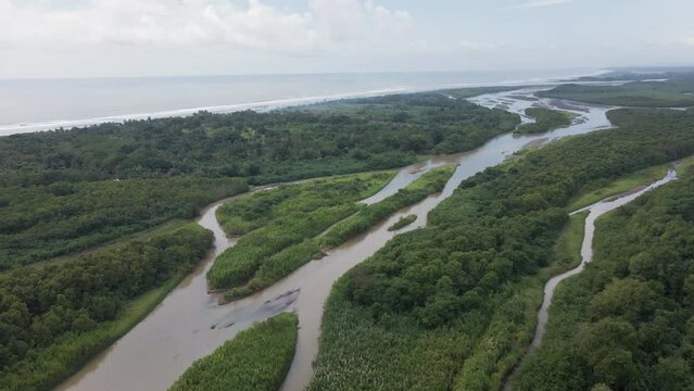 Calicanto Imagens – Procure 109 fotos, vetores e vídeos | Adobe Stock
