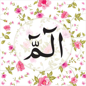 Bakara Images – Browse 33 Stock Photos, Vectors, and Video | Adobe Stock