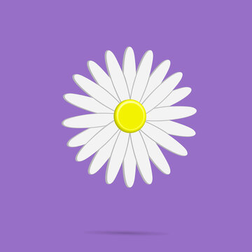 "Daisy Icon" Images – Browse 121 Stock Photos, Vectors, and Video ...