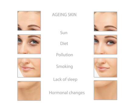 Phototype 이미지 – 찾아보기 220 스톡 사진, 벡터 및 비디오 | Adobe Stock