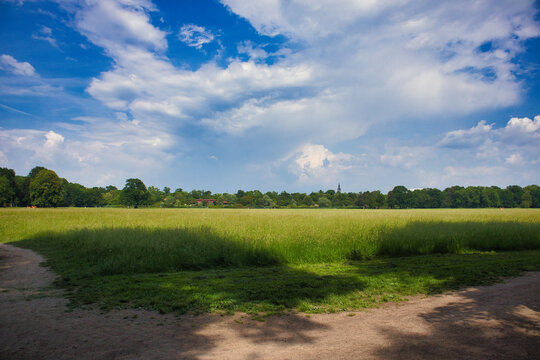 รูปภาพThal – เลือกดูภาพถ่ายสต็อก เวกเตอร์ และวิดีโอ8,999 | Adobe Stock