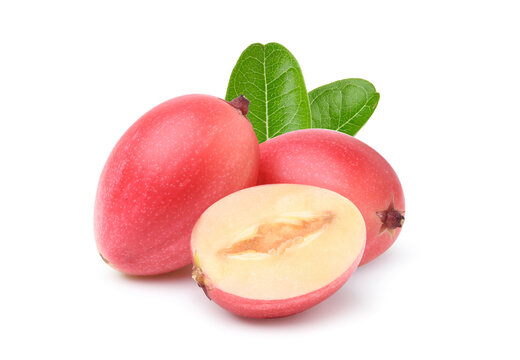 Koromcha Imagens – Procure 367 fotos, vetores e vídeos | Adobe Stock