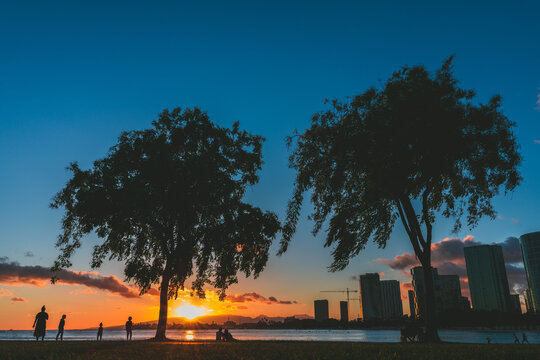 Pashu Images – Browse 45 Stock Photos, Vectors, and Video | Adobe Stock