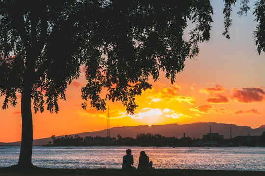 Pashu Images – Browse 45 Stock Photos, Vectors, and Video | Adobe Stock