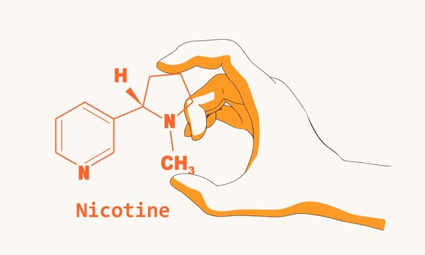 「Nicotine Chemical Compound」の画像 - 278 件の Stock 写真、ベクターおよびビデオ | Adobe Stock