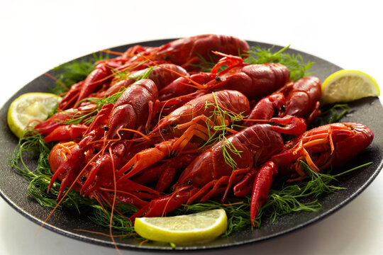 Kräftskiva bilder – Bläddra bland 300 stockfoton, vektorer och videor | Adobe Stock