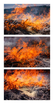 Imprudencia Images – Browse 40 Stock Photos, Vectors, and Video | Adobe ...