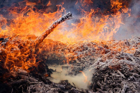 Imprudencia Images – Browse 40 Stock Photos, Vectors, and Video | Adobe ...