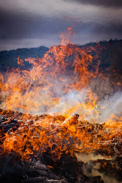 Imprudencia Images – Browse 40 Stock Photos, Vectors, and Video | Adobe ...