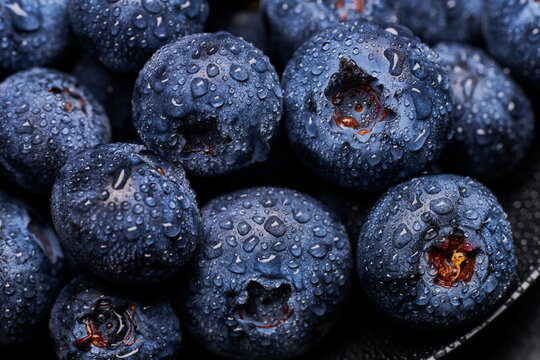 รูปภาพWimberry – เลือกดูภาพถ่ายสต็อก เวกเตอร์ และวิดีโอ142,622 | Adobe ...