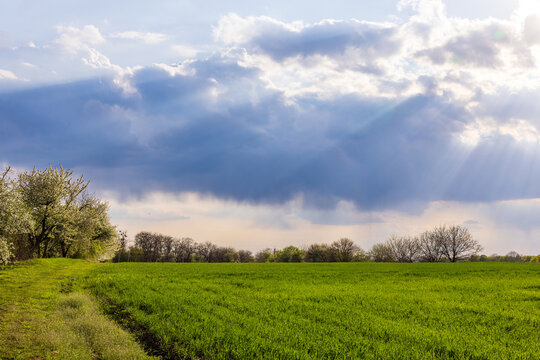 รูปภาพGrass-Land – เลือกดูภาพถ่ายสต็อก เวกเตอร์ และวิดีโอ3,435 | Adobe ...