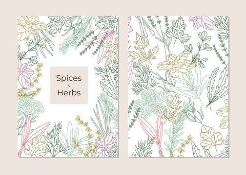 Cheremsha Images – Browse 29 Stock Photos, Vectors, and Video | Adobe Stock