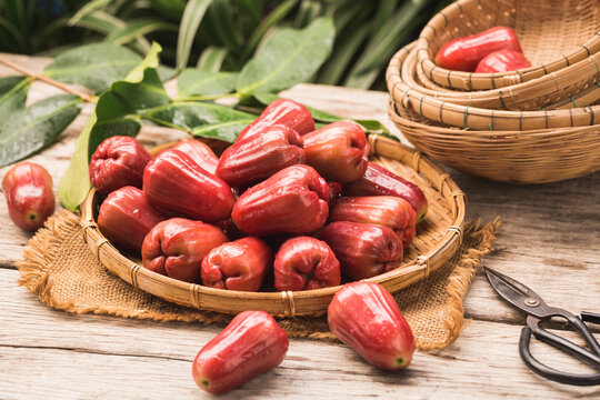 「Jamalac」の画像 - 2,173 件の Stock 写真、ベクターおよびビデオ | Adobe Stock