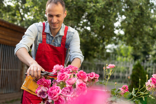 Schnittblumen Bilder – Durchsuchen 34,416 Archivfotos, Vektorgrafiken und Videos | Adobe Stock