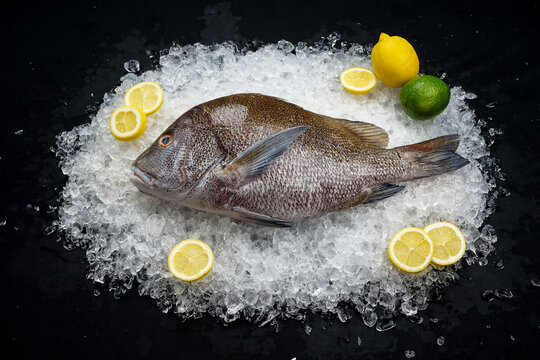 Pagel Bilder – Durchsuchen 28 Archivfotos, Vektorgrafiken und Videos ...