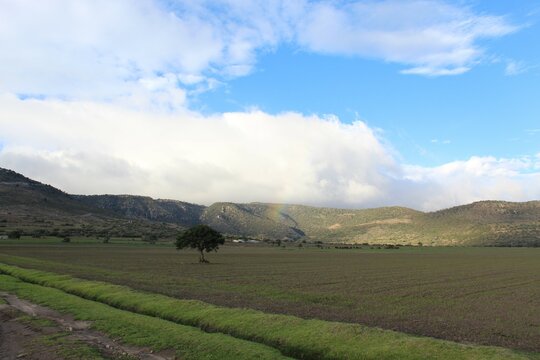 「Naciendo」の画像 - 150 件の Stock 写真、ベクターおよびビデオ | Adobe Stock