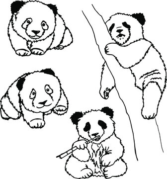 Lazy Panda Drawing