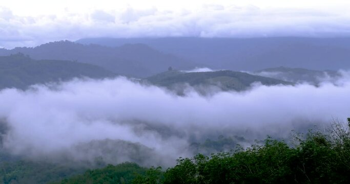 รูปภาพPetong – เลือกดูภาพถ่ายสต็อก เวกเตอร์ และวิดีโอ16 | Adobe Stock
