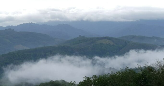 รูปภาพPetong – เลือกดูภาพถ่ายสต็อก เวกเตอร์ และวิดีโอ16 | Adobe Stock