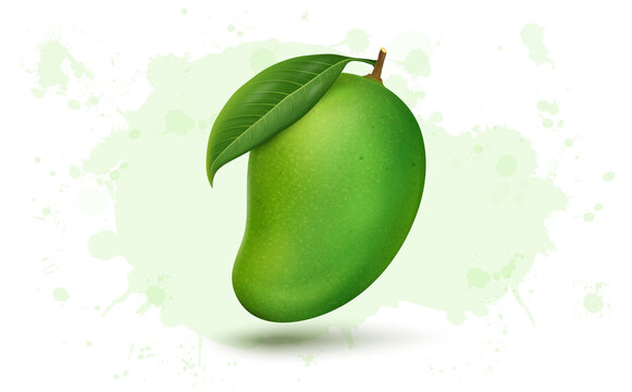 Green Mangoes Wallpaper Green Mango Images – Browse 337,125 Stock
