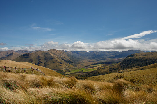 Imágenes de Pajonal: descubre bancos de fotos, ilustraciones, vectores ...