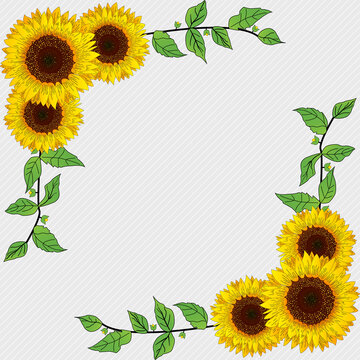 Sunflower Circle Border Images – Browse 1,185 Stock Photos, Vectors ...