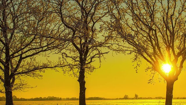 รูปภาพSun-Rising – เลือกดูภาพถ่ายสต็อก เวกเตอร์ และวิดีโอ394 | Adobe Stock