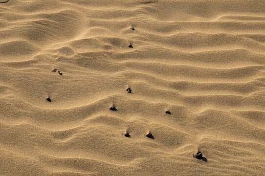 "Desert Texture" Images – Parcourir 767 le catalogue de photos ...