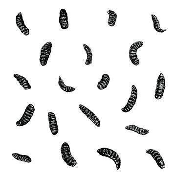 Maggot Vector Images – Browse 15,525 Stock Photos, Vectors, and Video ...