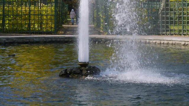 Labirinth Images – Parcourir 1,383 le catalogue de photos, vecteurs et ...