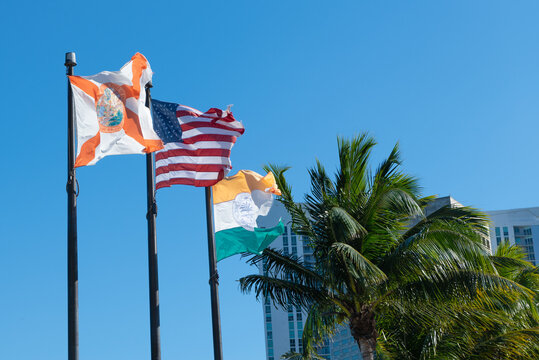 "Florida Flag"-Bilder: Stock-Fotos & -Videos. | Adobe Stock