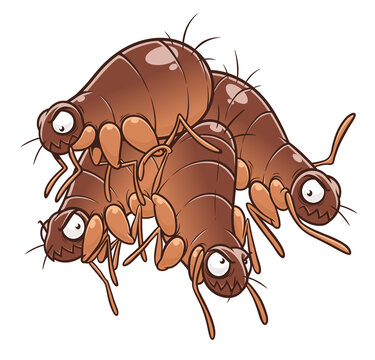 Flohbiss Bilder – Durchsuchen 2,582 Archivfotos, Vektorgrafiken und ...