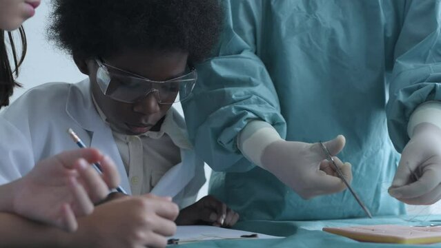 Vivisection Images – Browse 682 Stock Photos, Vectors, and Video ...