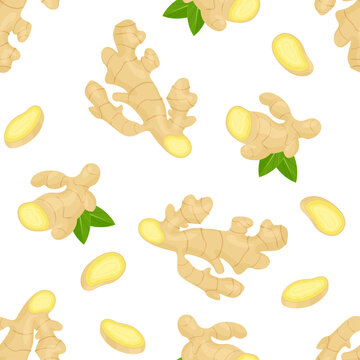 Ginger Root Cartoon Images – Browse 33,473 Stock Photos, Vectors, and ...