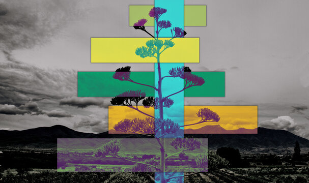 Imágenes de 3A: descubre bancos de fotos, ilustraciones, vectores y ...