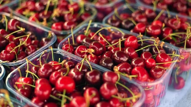 Package Counter Icon Images – Browse 2,628 Stock Photos, Vectors, and ...