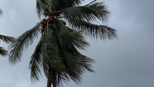 รูปภาพRees – เลือกดูภาพถ่ายสต็อก เวกเตอร์ และวิดีโอ3,057 | Adobe Stock